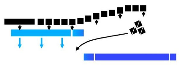 The Great Conversation: Battle/Debate Tactics-Feigned Retreat ...